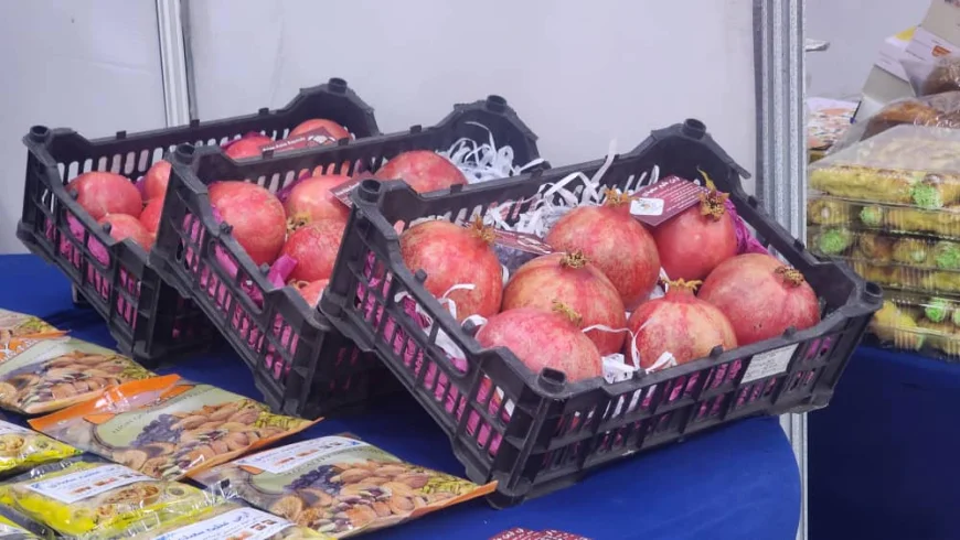 Kandahar Pomegranate Exports Surge by 32 Percent – AtlasPress News Agency