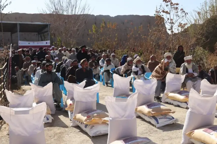 Qatar-Backed Wheat Seed and Fertilizer Distribution Reaches 2,000 ...