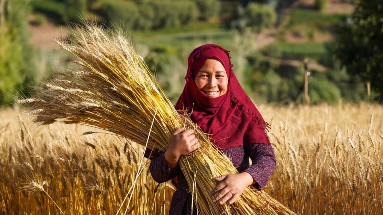 UN Launches Afghanistan Humanitarian Needs and Response Plan for 2026 ...