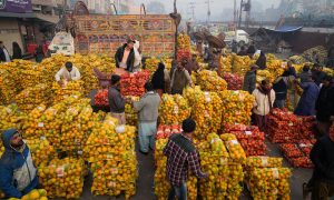 Pakistan Faces Citrus Export Crisis as Afghanistan Trade Route Remains ...