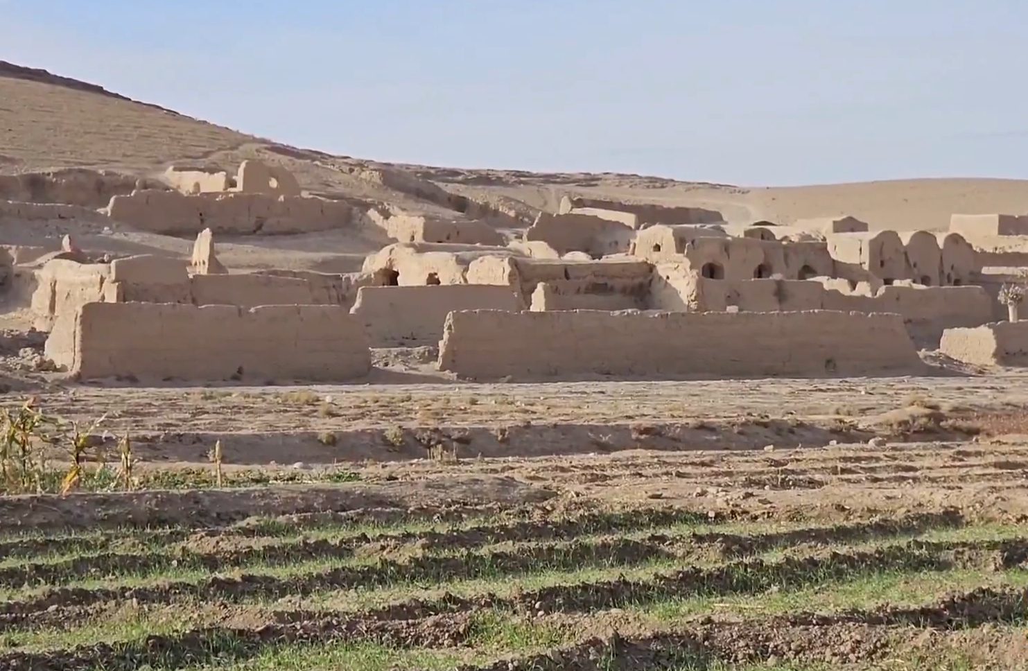 Severe Drought in Musa Qala Sparks Warnings of Forced Displacement ...