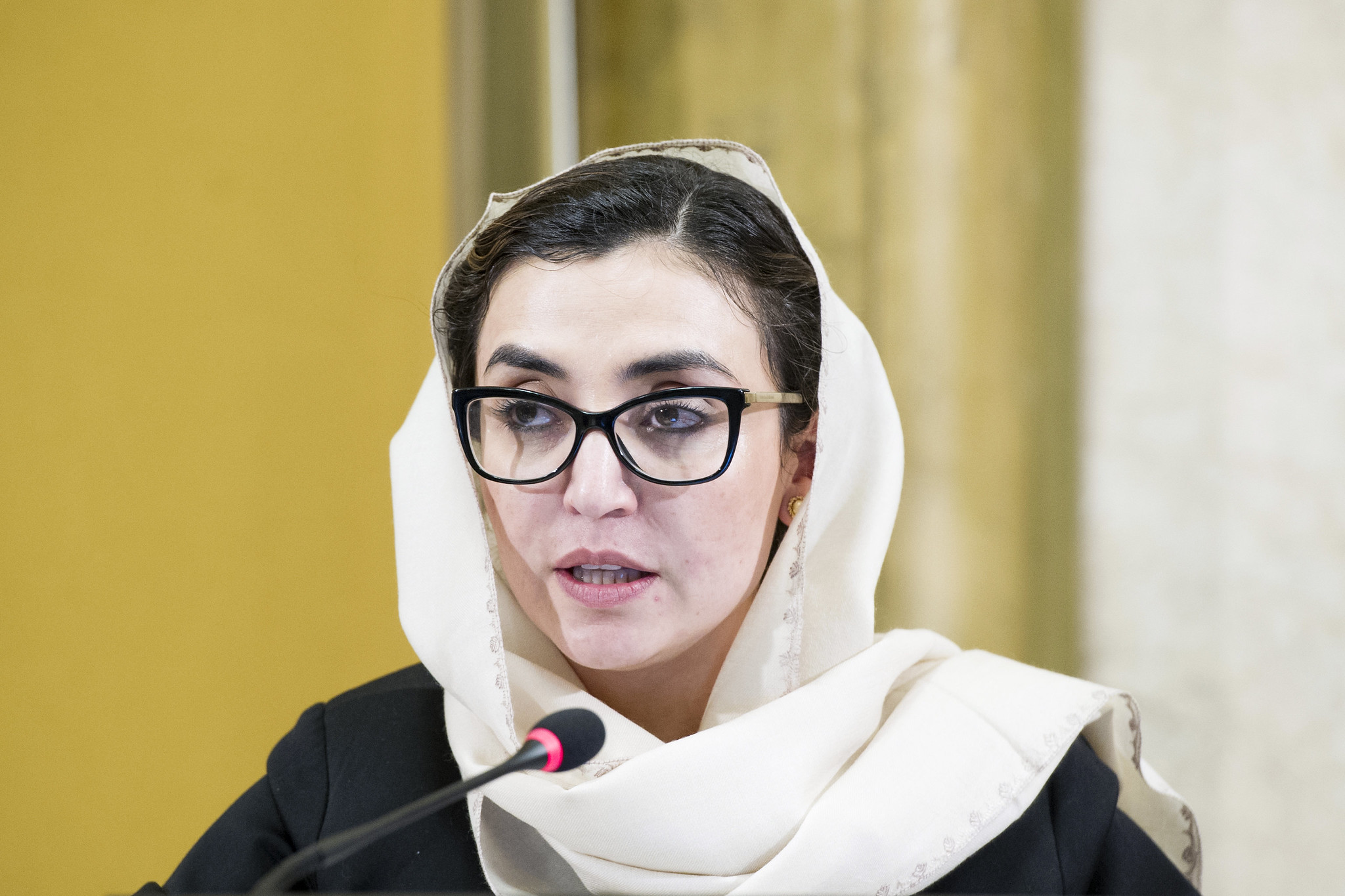 Adela Raz Appointed to UN Advisory Board on Multidimensional ...