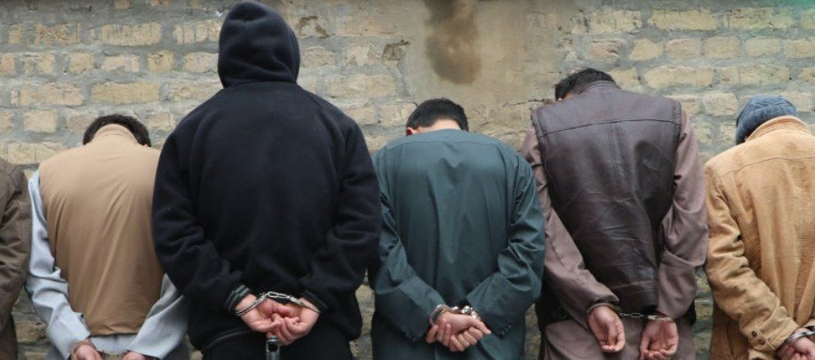 Six Arrested for Illegal Logging in Nangarhar Forests – AtlasPress News ...