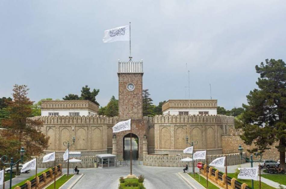 Taliban Approves Fish Farming Development Plan to Boost Private Sector ...
