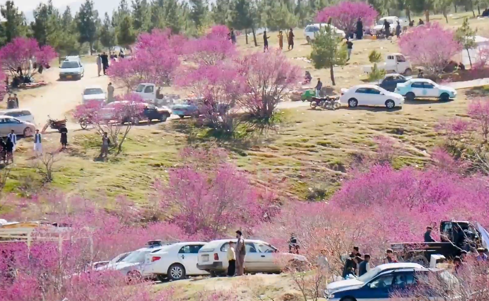 Nearly 70,000 Visitors Explore Parwan’s Scenic Spots During Eid ...